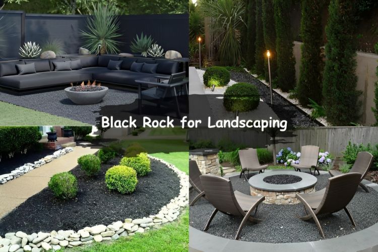 10 Black Rock Landscaping Ideas to Elevate Your Outdoor Space
