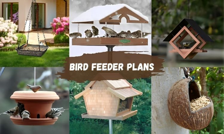 22 Wooden Bird Feeder Plans and Ideas: Backyard Oasis Creation
