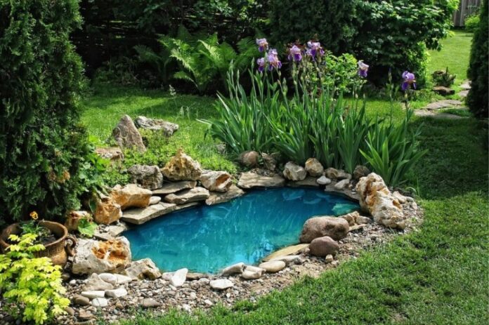 35 Inspiring Raised Garden Pond Ideas for Your Outdoor Space