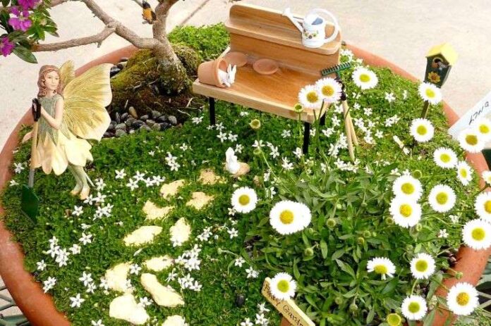 40 Fairy Garden Plants: A Comprehensive Miniature Guide