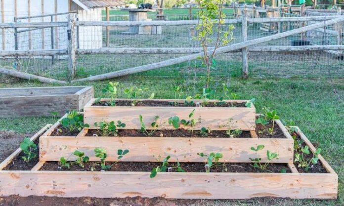 45 Creative Strawberry Planter Ideas: Transforming Your Garden