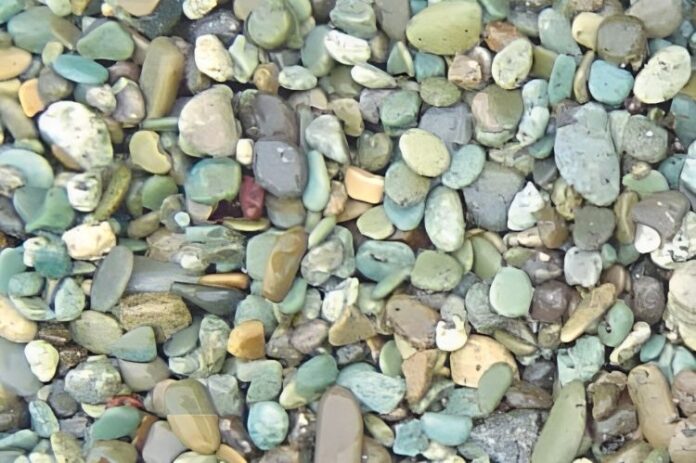 Exploring the Diversity of Pea Gravel Colors and Sizes