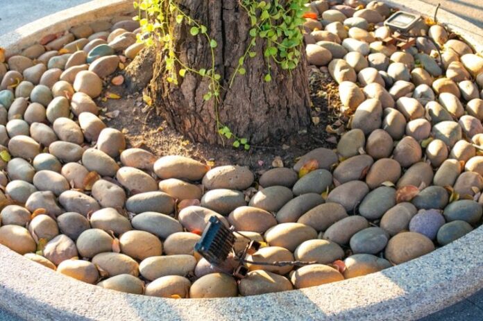 River Rock Landscaping Ideas: 25 Transformative Yard Inspirations