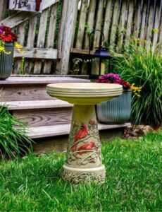 Unique Bird Baths: 30 Designs to Attract Songbirds to Your Yard