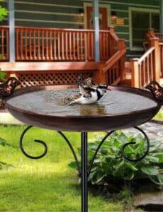 Unique Bird Baths: 30 Designs to Attract Songbirds to Your Yard