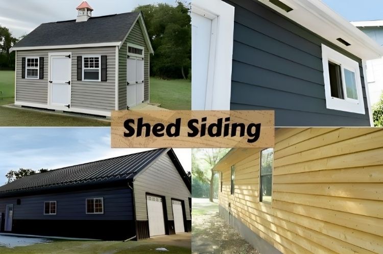Shed Siding: Transform Your Shed with a Stunning Facelift!