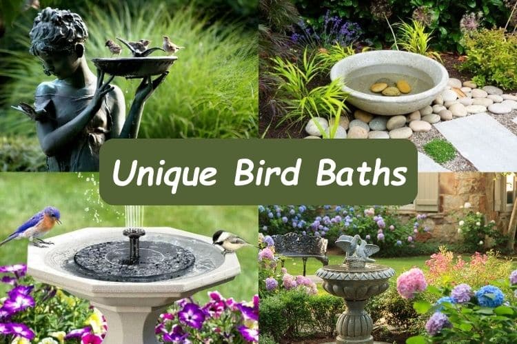Unique Bird Baths: 30 Designs to Attract Songbirds to Your Yard