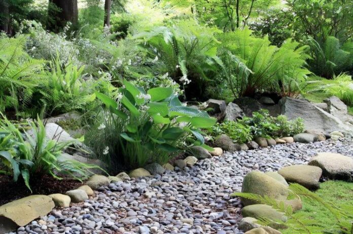 Flower Bed Ideas With Rocks: 25 Transformations for Your Garden
