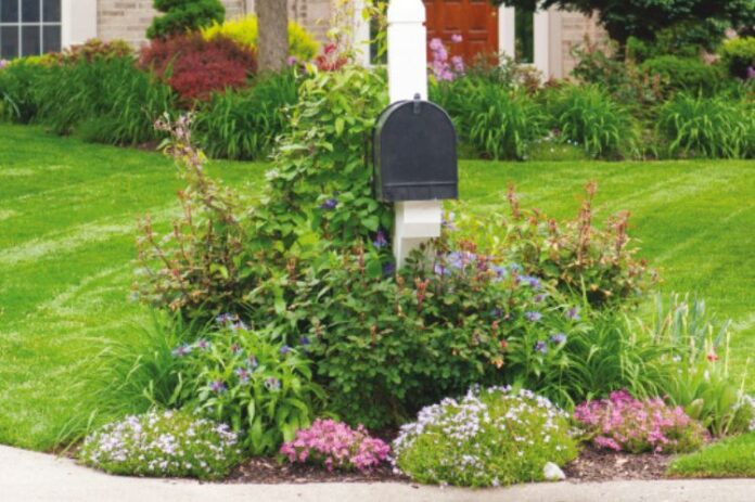 Mailbox Landscape Ideas: 35 Ways to Transform Outdoor Space