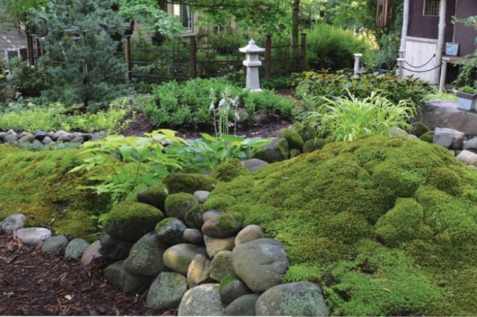 Flower Bed Ideas With Rocks: 25 Transformations for Your Garden