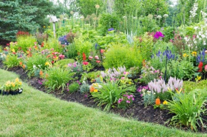 25 Brilliant Shade Garden Ideas for a Gorgeous Outdoor Oasis