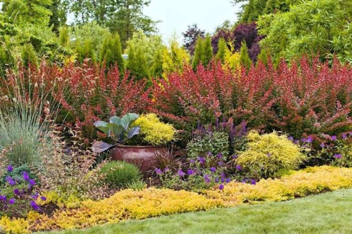 25 Brilliant Shade Garden Ideas for a Gorgeous Outdoor Oasis