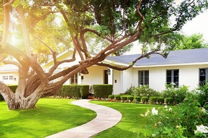 25 Brilliant Shade Garden Ideas for a Gorgeous Outdoor Oasis