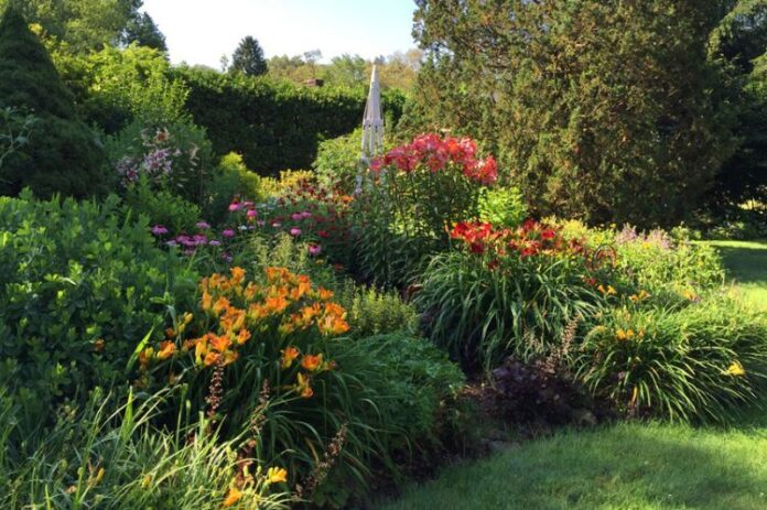 25 Brilliant Shade Garden Ideas for a Gorgeous Outdoor Oasis