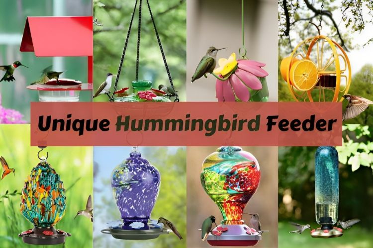 Unique Hummingbird Feeder 25 Ideas to Attract These Tiny Birds