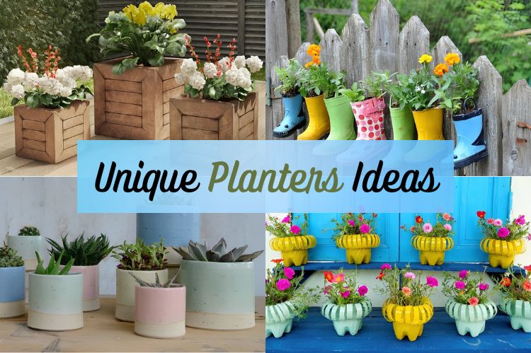 Unique Planters 30 Ideas to Spice Up Your Home or Garden