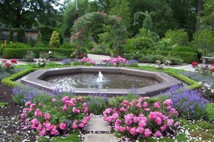 Front Yard Rose Garden Ideas: Designs to Elevate Outdoor Space