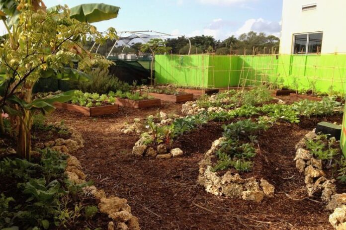 Florida Landscape Ideas: 22 Inspiring Designs to Unlock Beauty