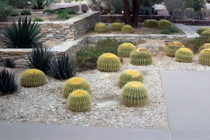 35 Desert Landscape Ideas: Unlocking the Beauty of Arid Spaces