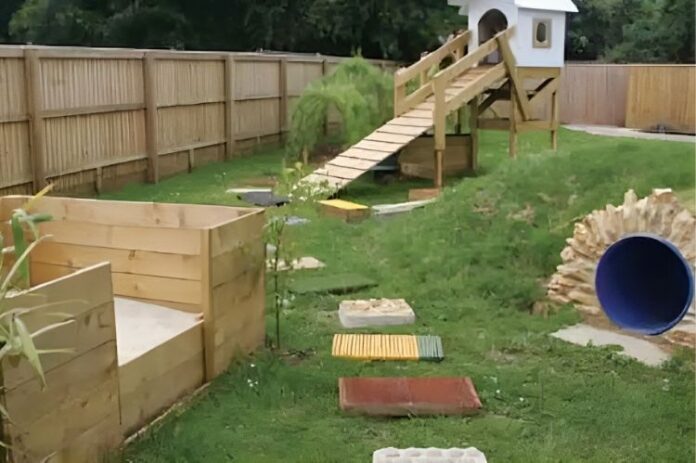 Dog Friendly Backyard Ideas on a Budget: Revamp Outdoor Space