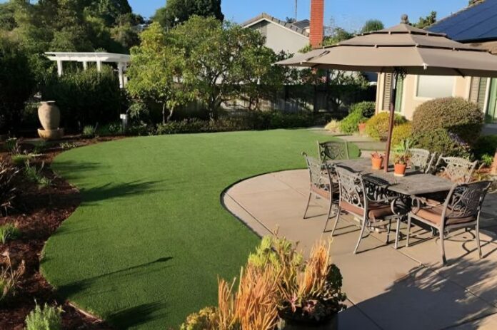 Low Maintenance Landscaping: Ideas to Transform Outdoor Space