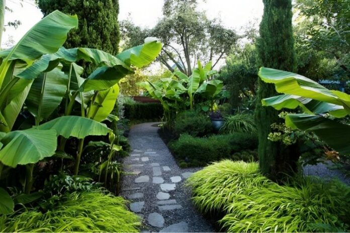 Florida Landscape Ideas: 22 Inspiring Designs to Unlock Beauty