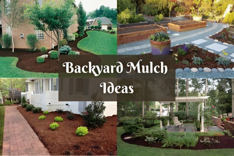 32 Best Backyard Mulch Ideas: Revamp Your Outdoor Oasis