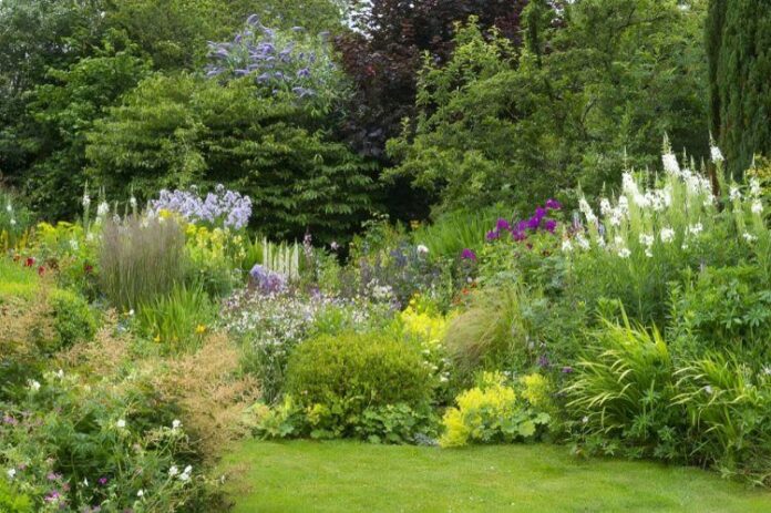 Countryside Landscaping: 35 Inspiring Ideas to Unlock the Charm