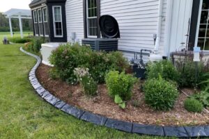 Landscaping Border Ideas: 27 Designs to Elevate Outdoor Haven