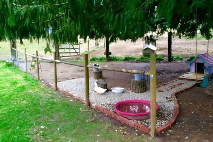 Duck House Ideas: 29 Designs to Transform Your Backyard Haven