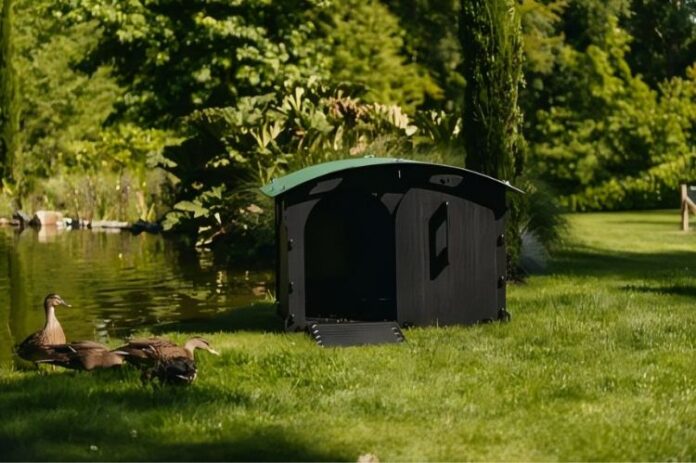 Duck House Ideas: 29 Designs to Transform Your Backyard Haven
