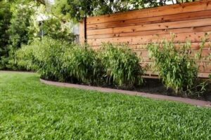 Landscaping Border Ideas: 27 Designs to Elevate Outdoor Haven