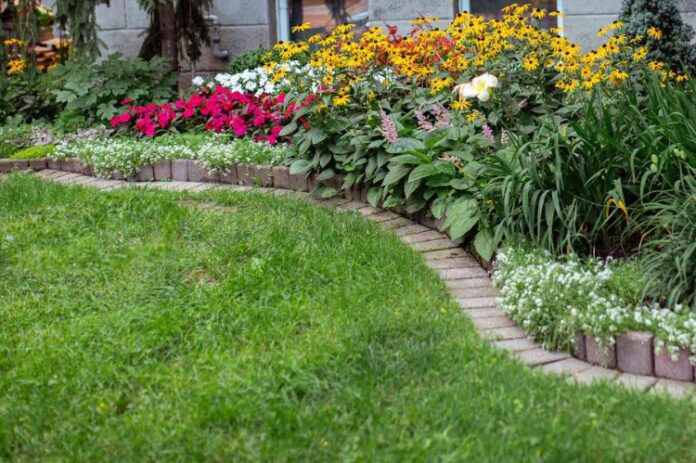 Landscaping Border Ideas: 27 Designs to Elevate Outdoor Haven