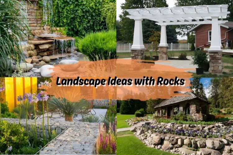 Landscape Ideas with Rocks: 29 Stunning Outdoor Transformations
