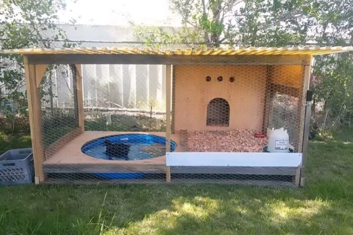 Duck House Ideas: 29 Designs to Transform Your Backyard Haven