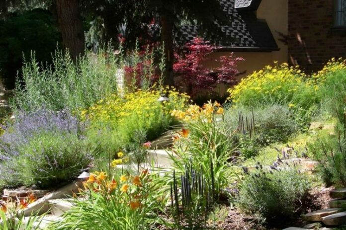 Florida Backyard Ideas: Transform Outdoor Space with 22 Designs!
