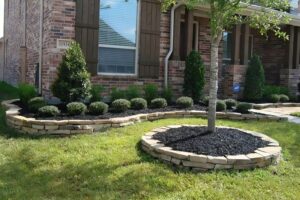 Landscaping Border Ideas: 27 Designs to Elevate Outdoor Haven