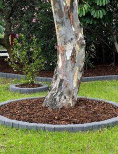 Landscaping Border Ideas: 27 Designs to Elevate Outdoor Haven