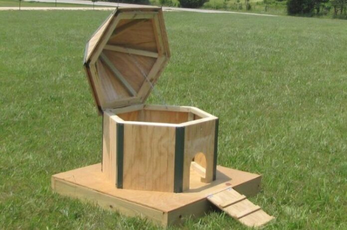 Duck House Ideas: 29 Designs to Transform Your Backyard Haven