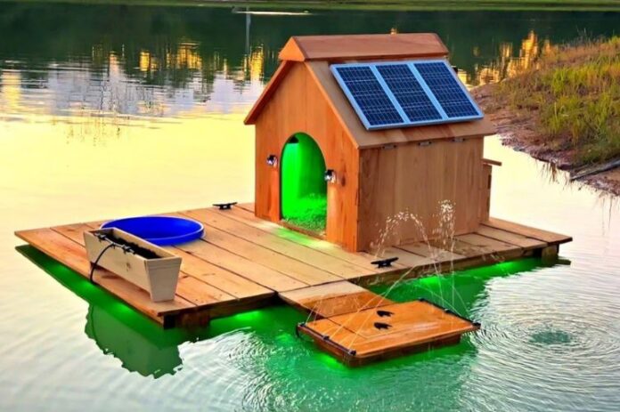 Duck House Ideas: 29 Designs to Transform Your Backyard Haven