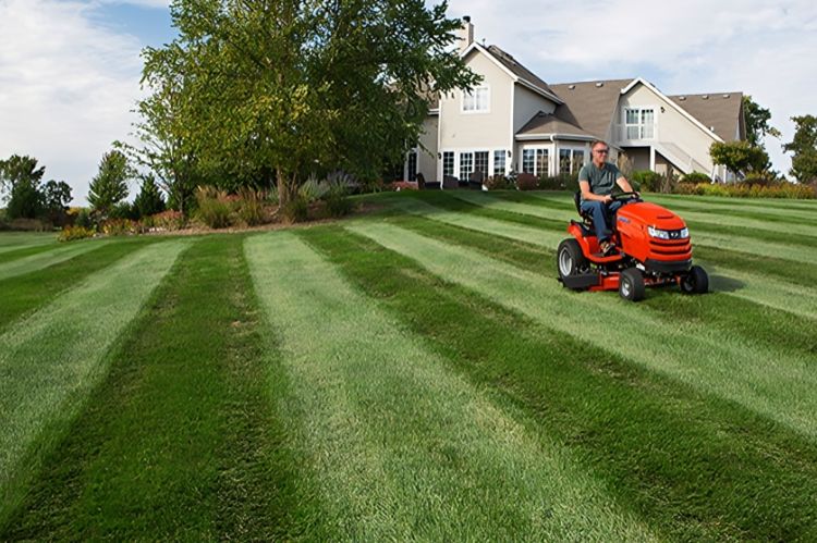The Art of Mowing: Techniques for a Perfectly Manicured Lawn