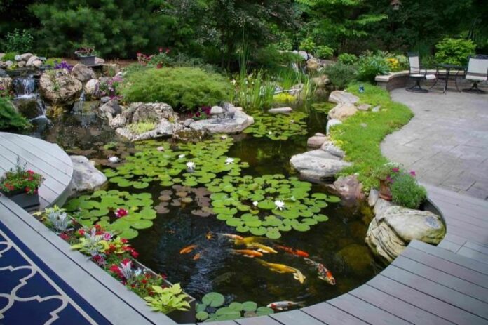 Countryside Landscaping: 35 Inspiring Ideas to Unlock the Charm