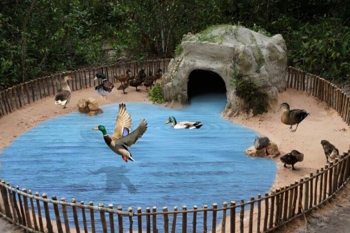 Duck House Ideas: 29 Designs to Transform Your Backyard Haven