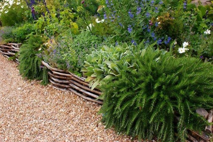 Landscaping Border Ideas: 27 Designs to Elevate Outdoor Haven