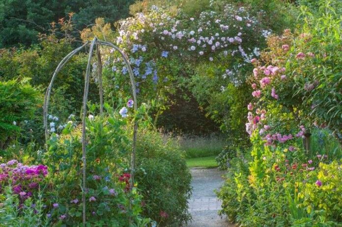 Rose Garden Ideas: Unlocking Inspiration with 30 Suggestions
