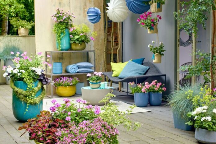 Small Space Garden Design Ideas: 35 Ways to Unlock Creativity