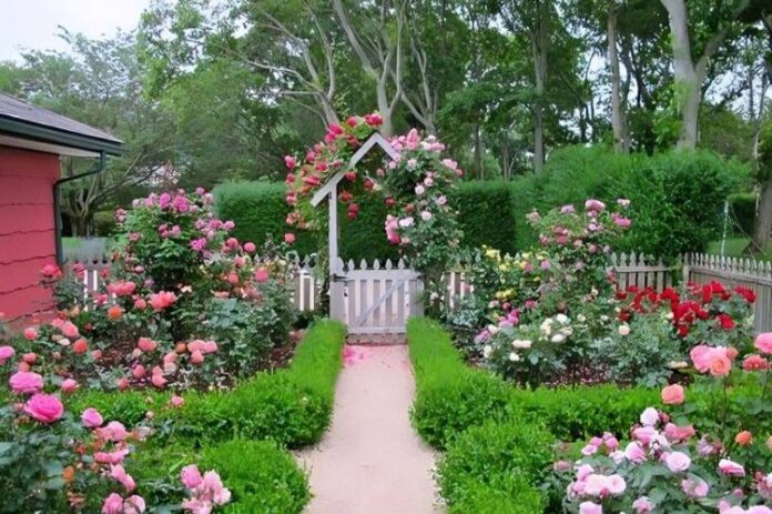 Rose Garden Ideas: Unlocking Inspiration with 30 Suggestions