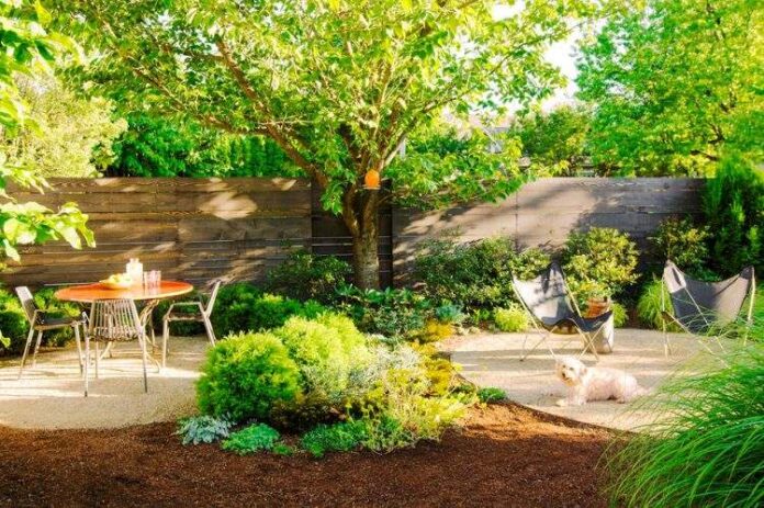 Dog Friendly Backyard Ideas: 32 Ideas Your Pooch Will Love