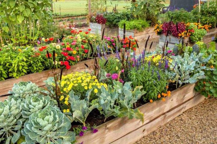 Small Space Garden Design Ideas: 35 Ways to Unlock Creativity