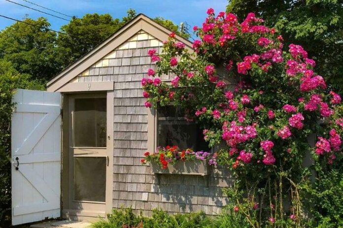 Rose Garden Ideas: Unlocking Inspiration with 30 Suggestions